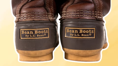 L.L. Bean Invests in Analytics Platform for Multichannel Hyper ...