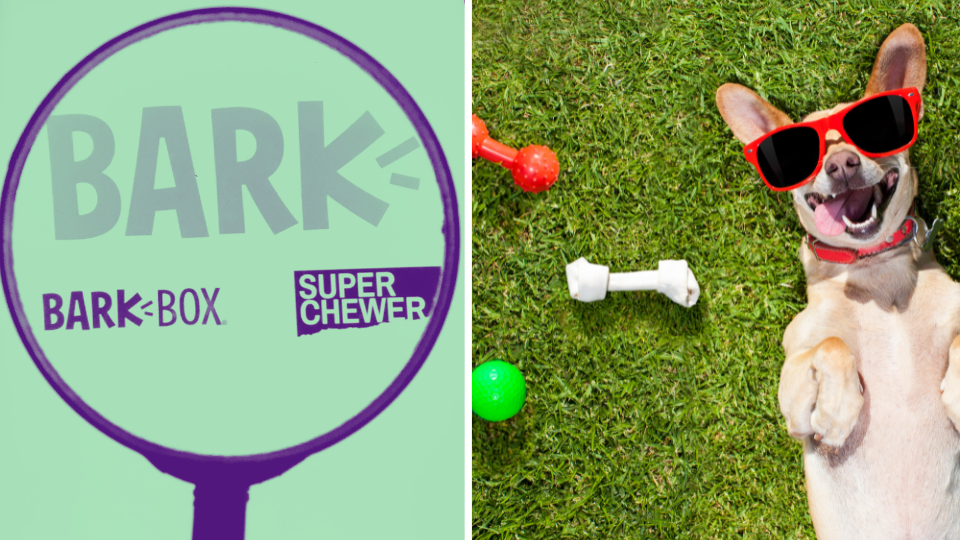 Bark Gets New CMO, Taps Michael Parness to Lead AI-Powered Marketing ...