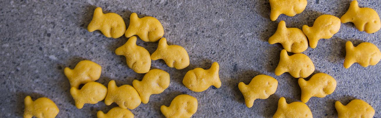 Campbell’s Snacks Division Gets New President | Consumer Goods Technology